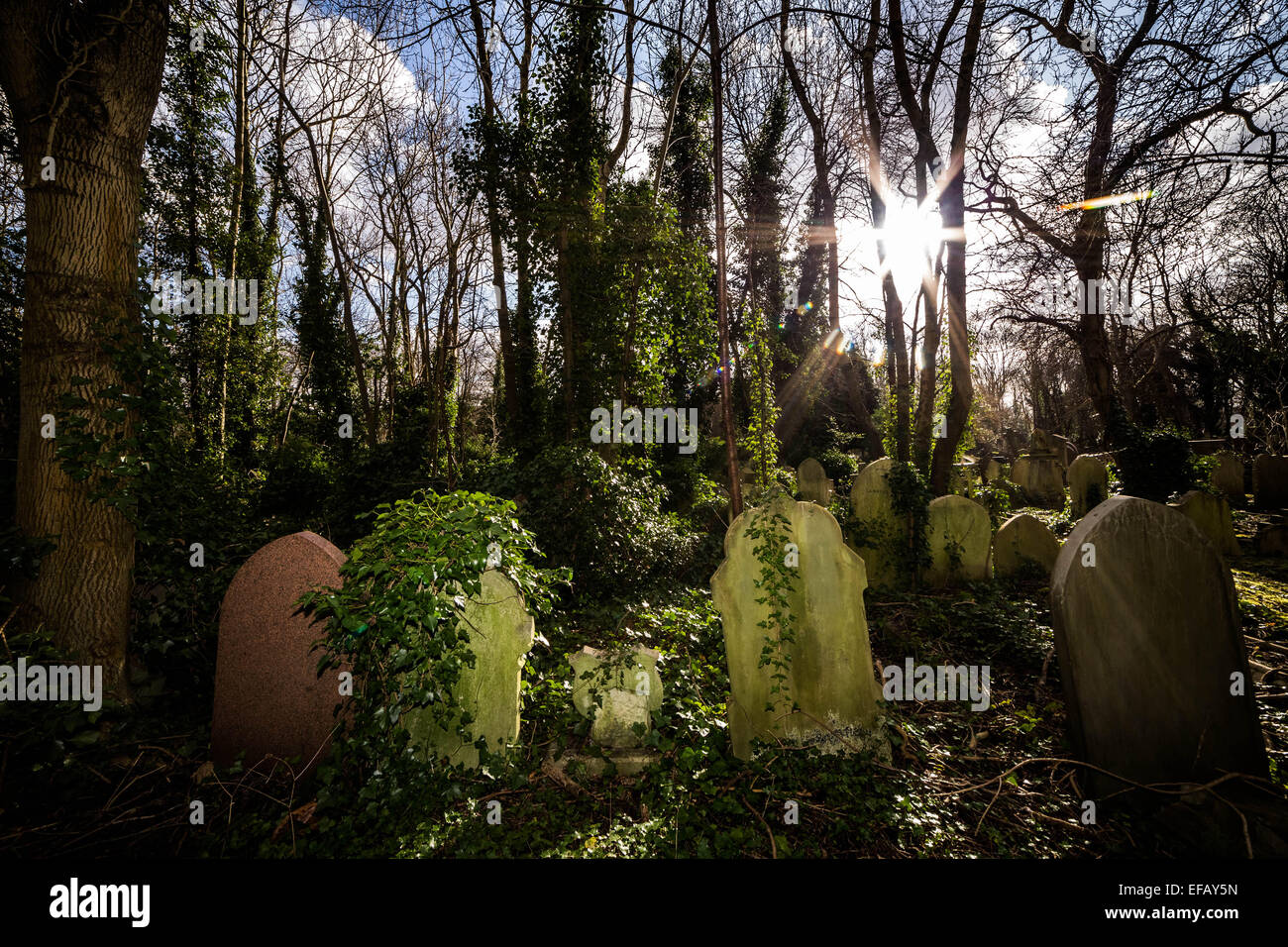 Highgate Cemetery (east) in North London, UK Stock Photo - Alamy