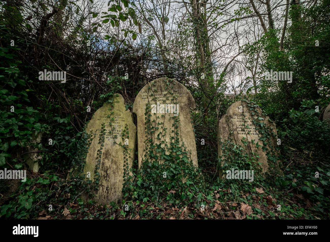Highgate Cemetery (east) in North London, UK Stock Photo - Alamy