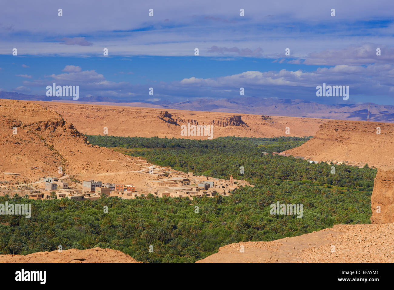 Tafilalet oasis dry hi-res stock photography and images - Alamy