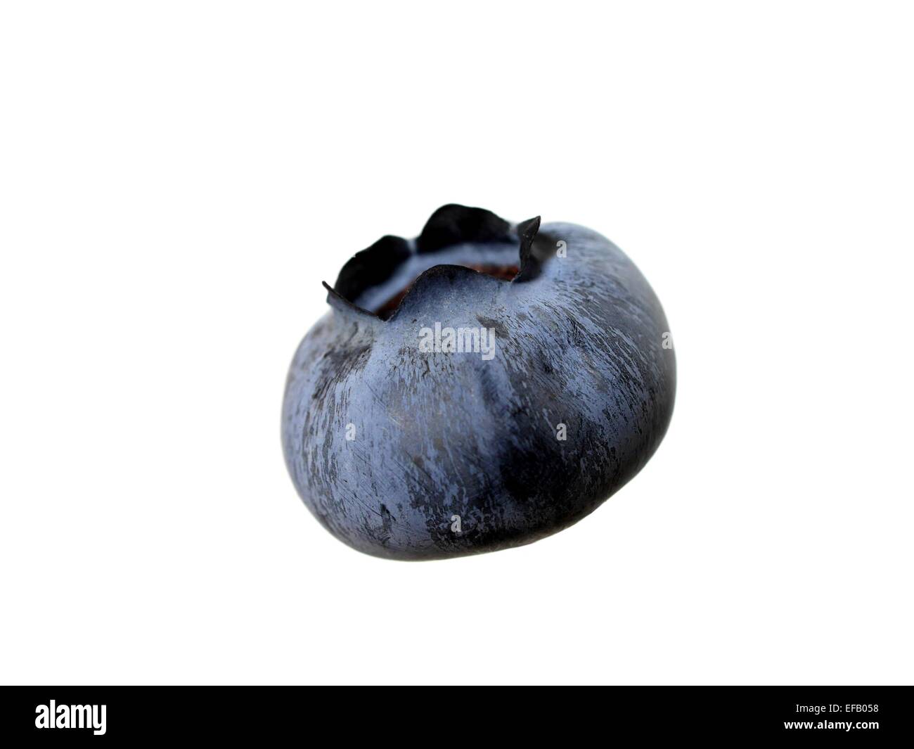 forest berry on white background Stock Photo - Alamy
