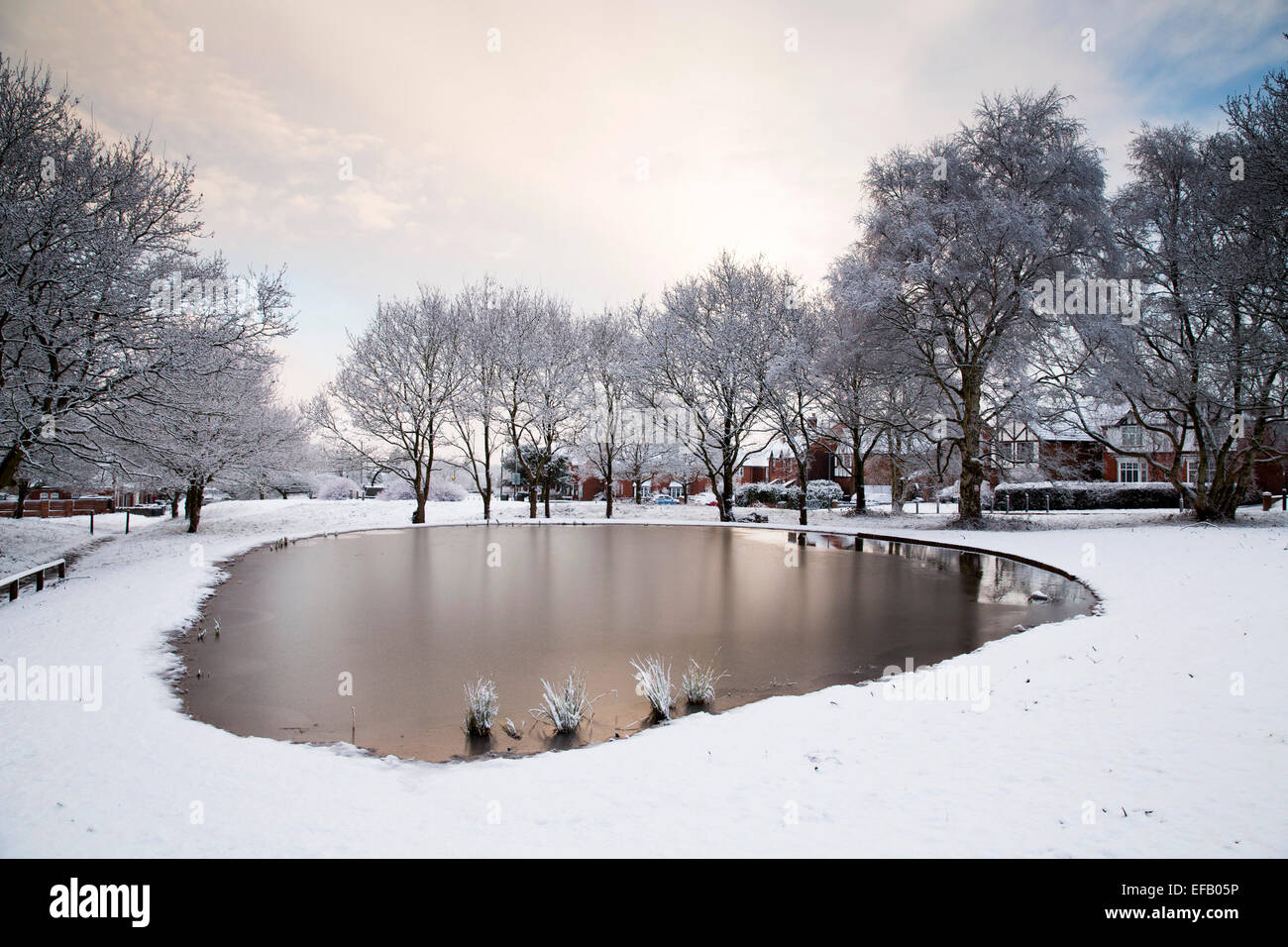 Snow covered Baddesley Ensor in North Warwickshire, UK. The frozen pond ...