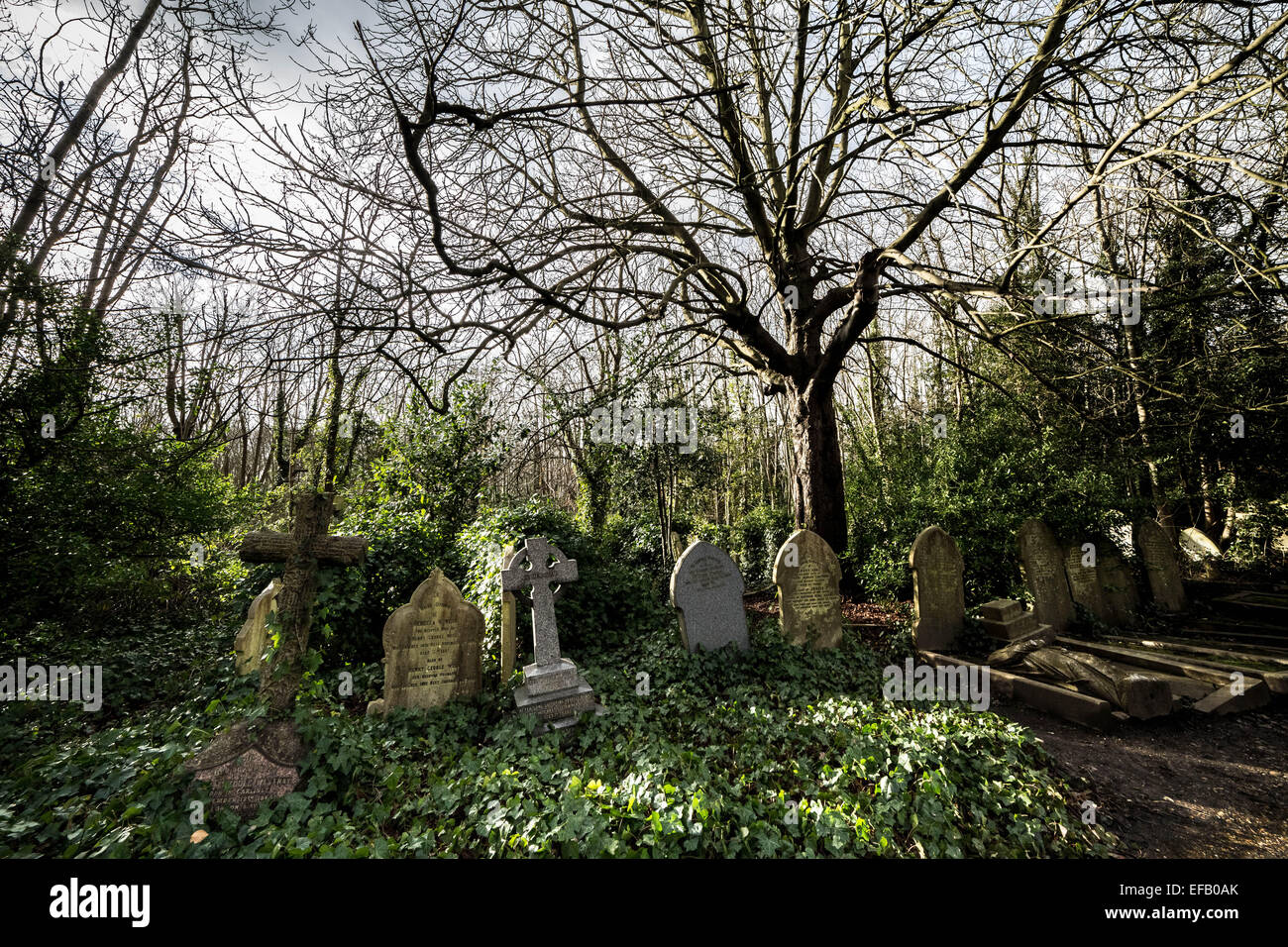 Highgate Cemetery (east) in North London, UK Stock Photo - Alamy