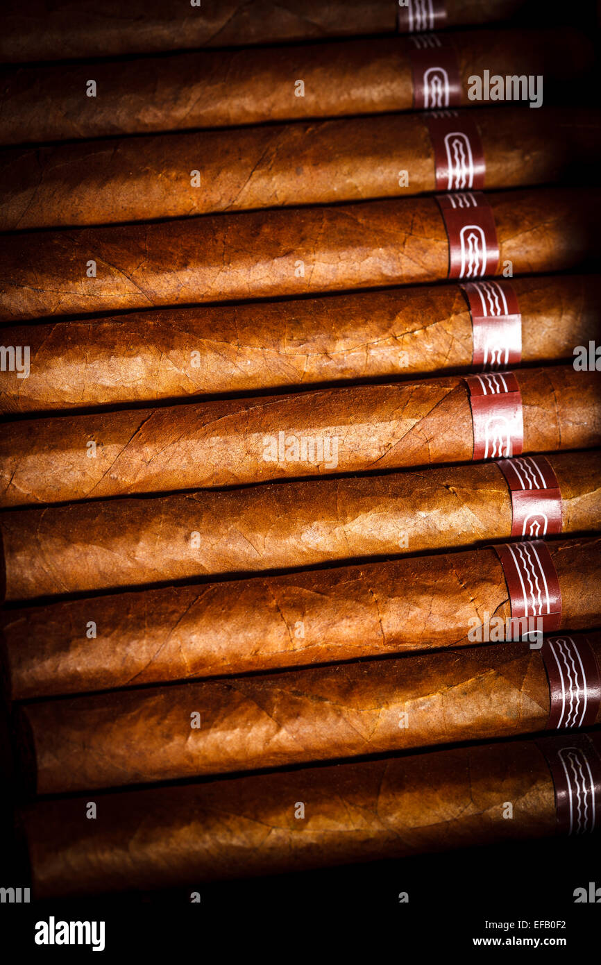 Close up of cigars in open humidor box Stock Photo - Alamy