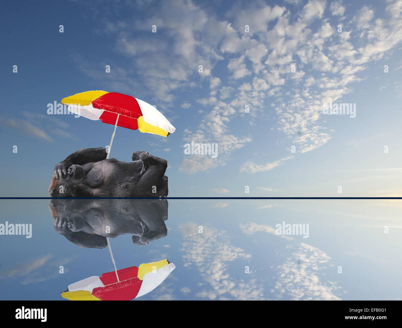 Kids fantasy hi-res stock photography and images - Alamy