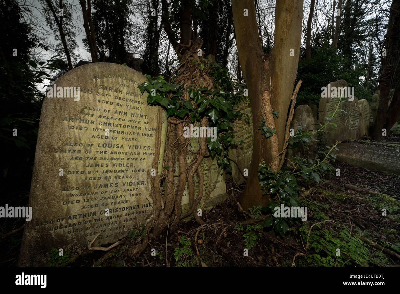 Highgate Cemetery (east) in North London, UK Stock Photo - Alamy