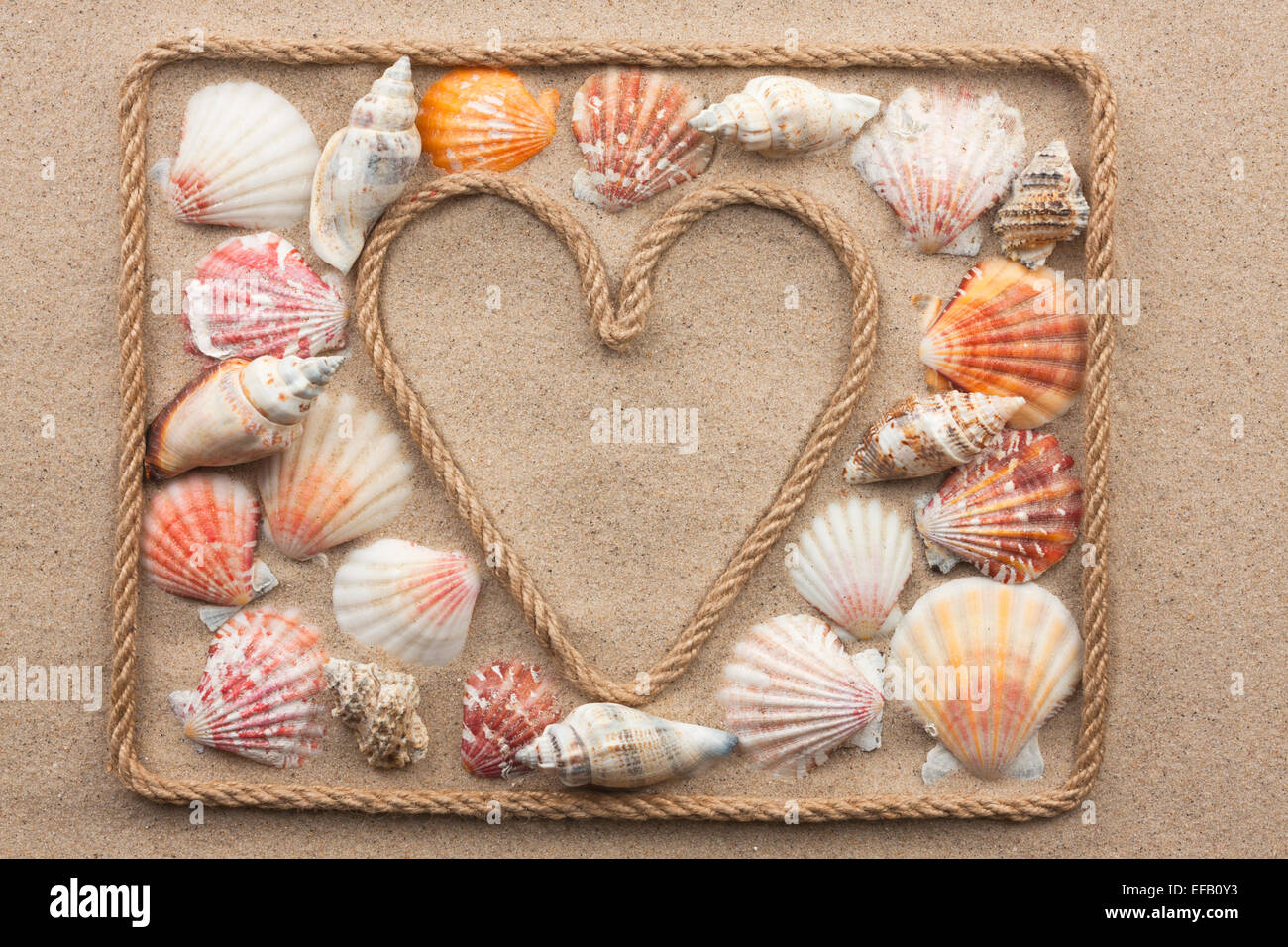 Heart made shells on beach hi-res stock photography and images - Alamy