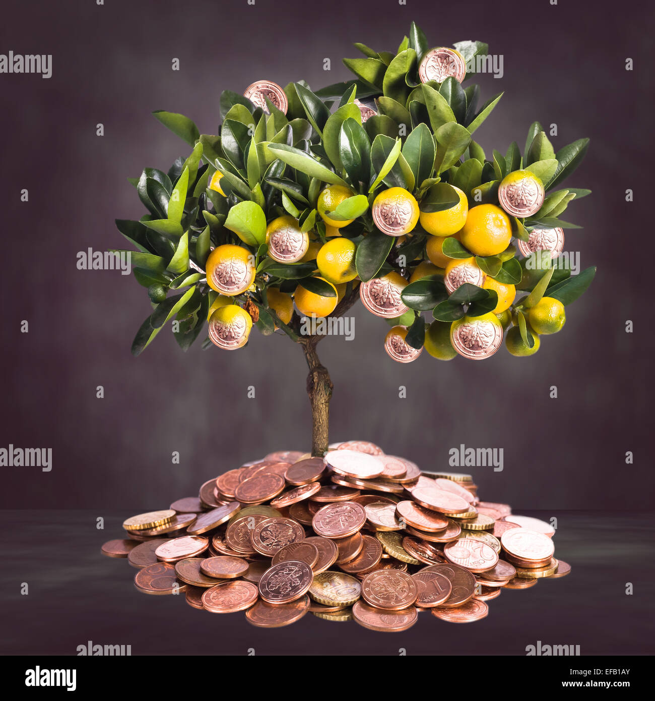 a symbolic picture for financial success and money savings Stock Photo ...