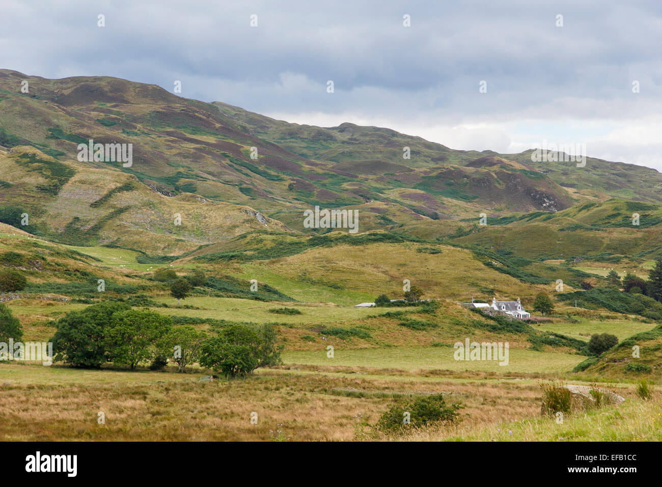 Barravullin hi-res stock photography and images - Alamy