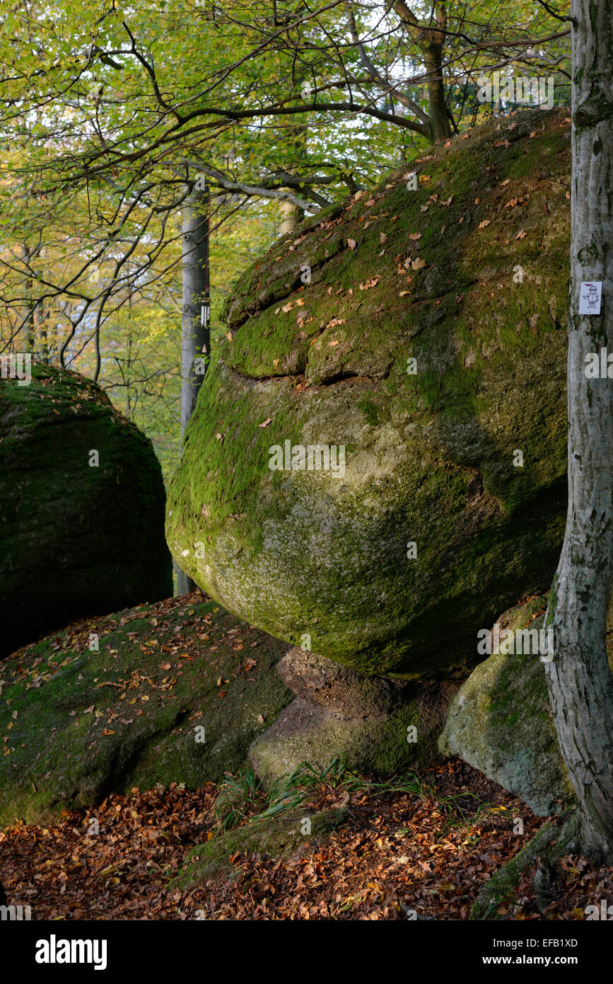 Rock park, rocks, rock garden, concentric weathering, castle grounds ...
