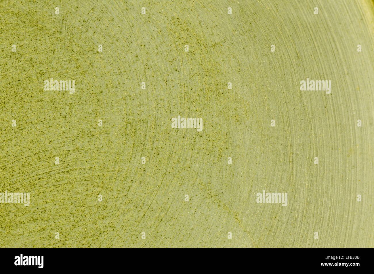 Green ceramic texture hi-res stock photography and images - Alamy