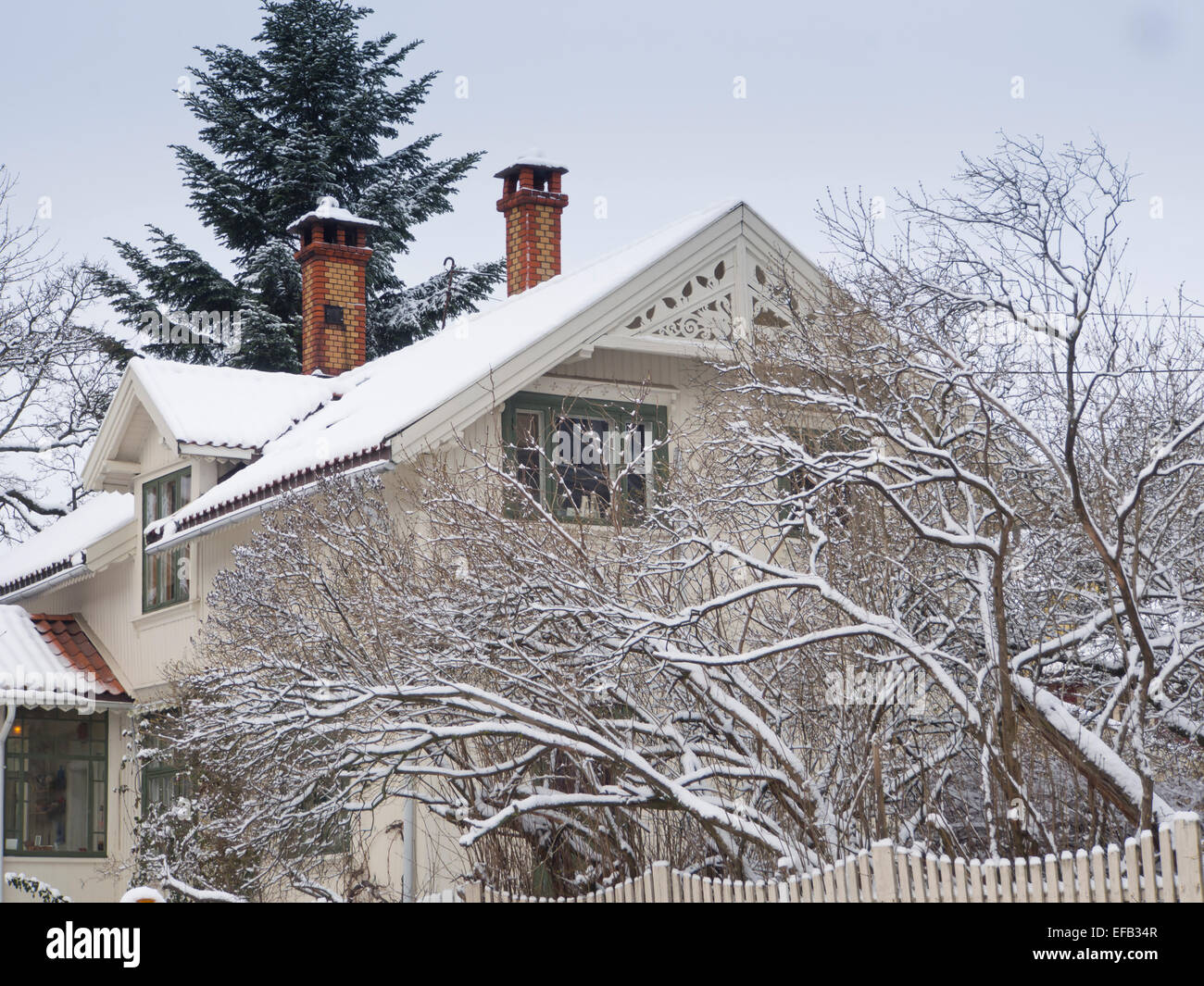 Oslo snow trees hi-res stock photography and images - Alamy