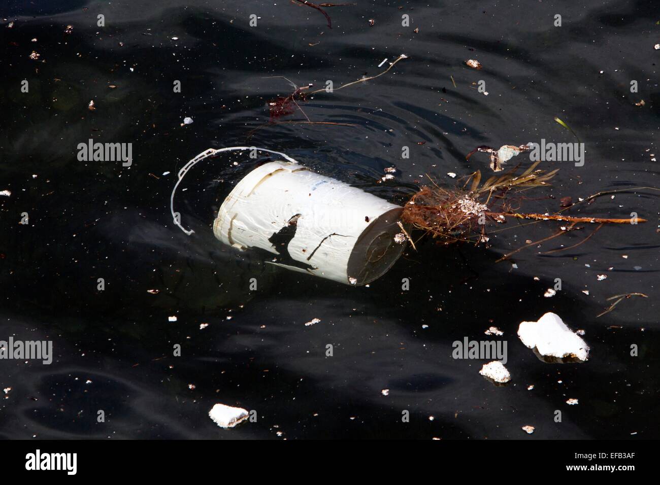 plastic pollution at the Italian coast near Naples Stock Photo - Alamy