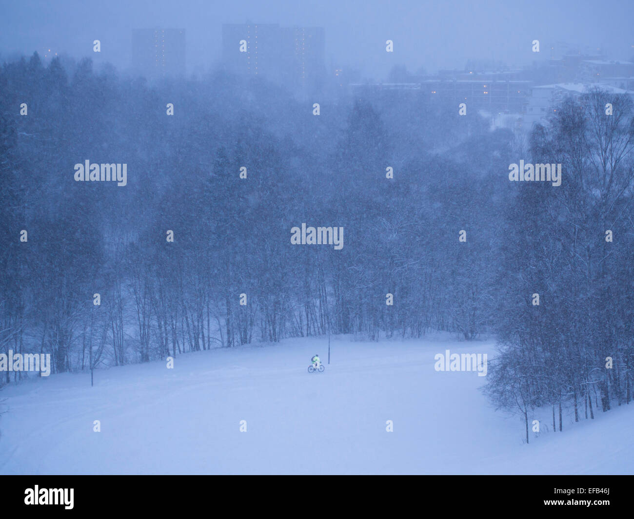 Winter morning, blue hour, lone biker forcing his way through the ...