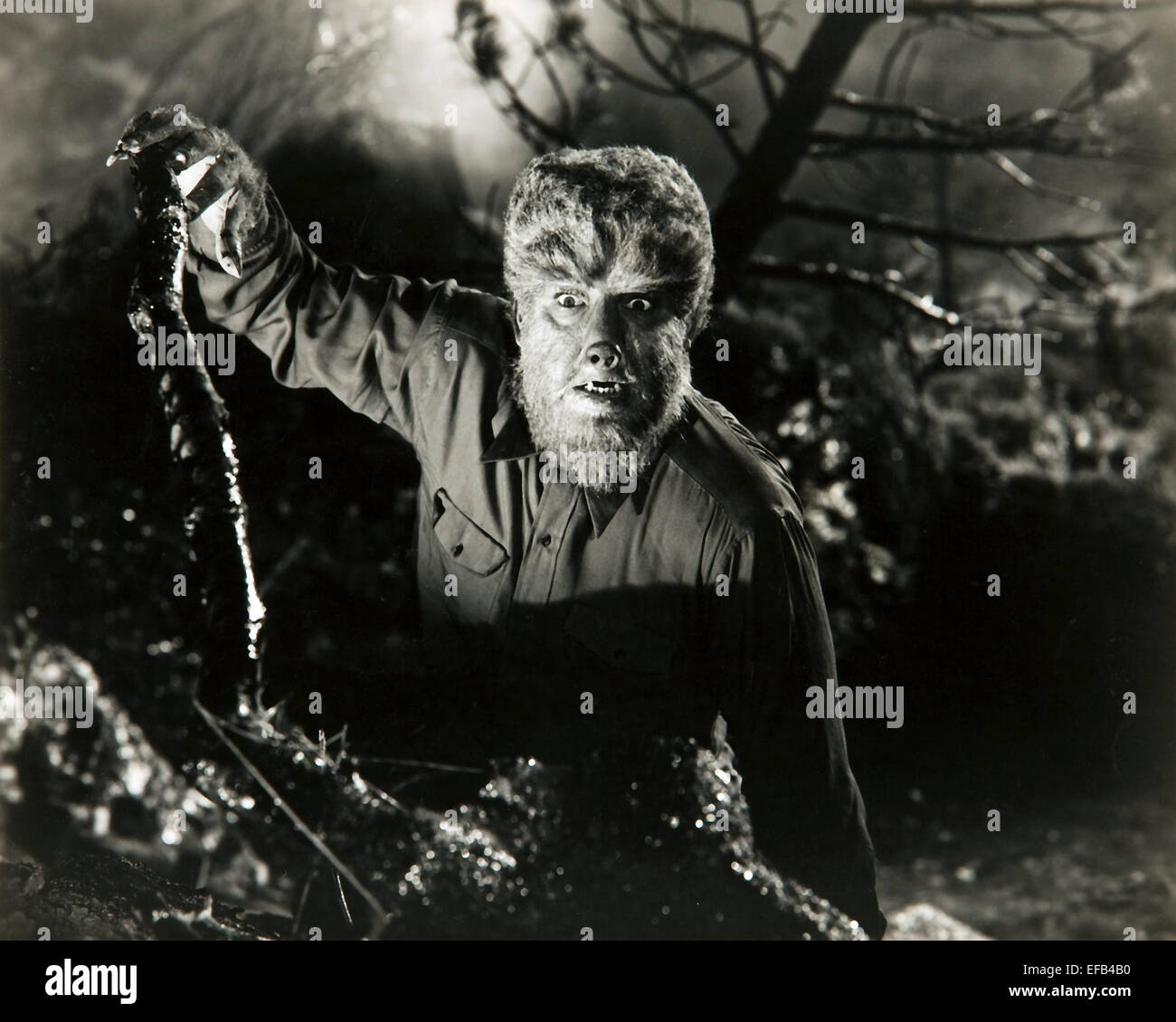 LON CHANEY JR. FRANKENSTEIN MEETS THE WOLF MAN (1943 Stock Photo - Alamy