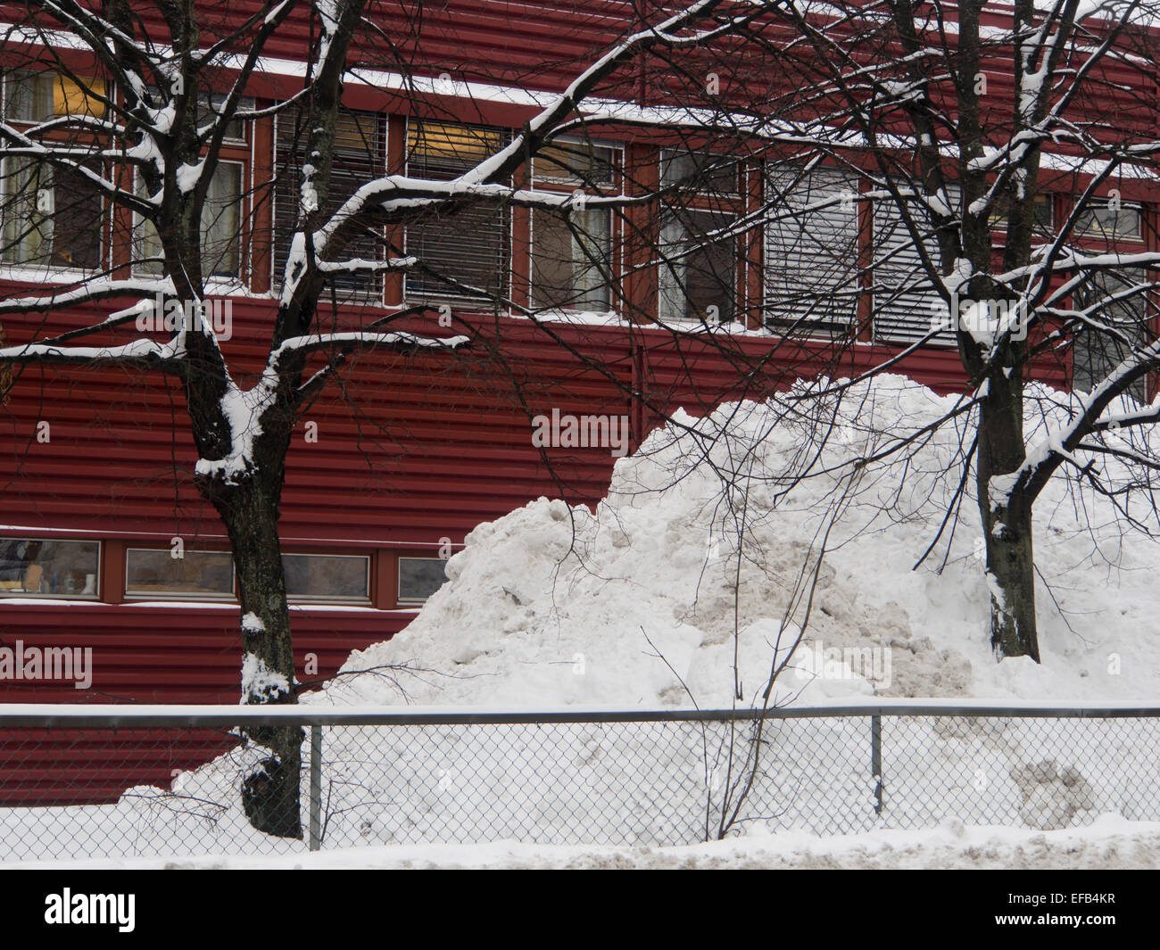 Snow deposit in a yard reaching first floor of an office building, a ...