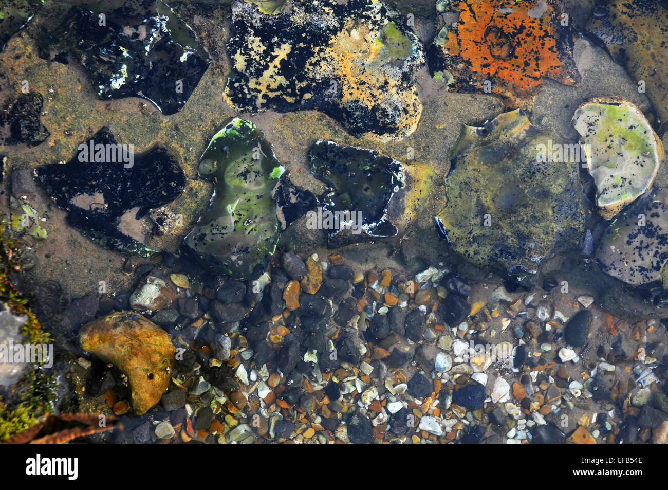rocks in the river Stock Photo - Alamy