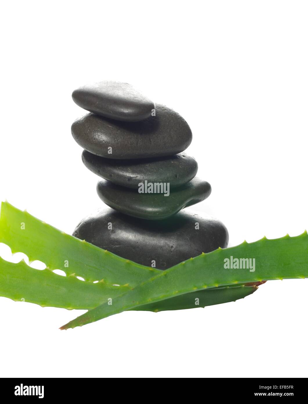 aloe leaf and stones on white background Stock Photo - Alamy