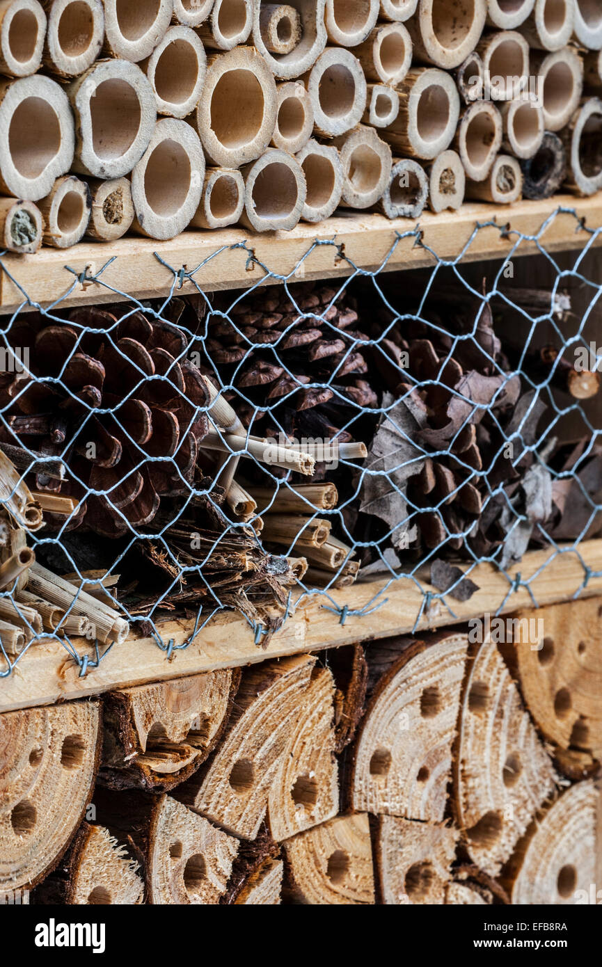 Insect Nests High Resolution Stock Photography and Images - Alamy