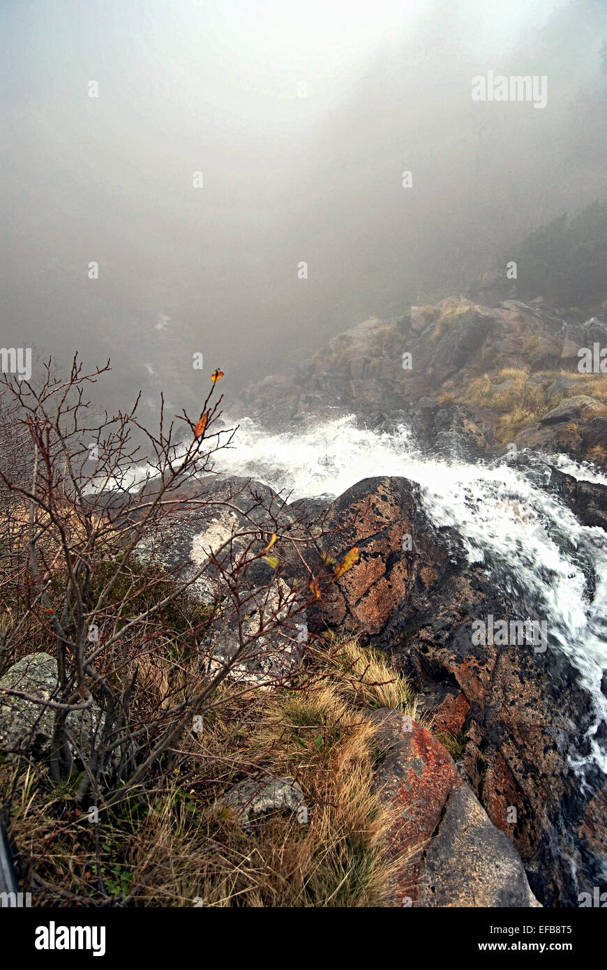 Labsky hi-res stock photography and images - Alamy