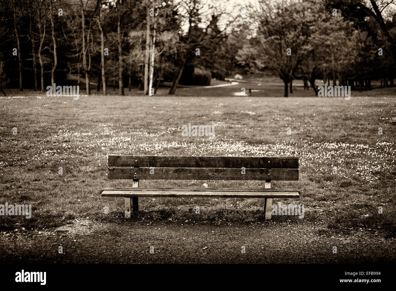 The empty bench Stock Photo - Alamy
