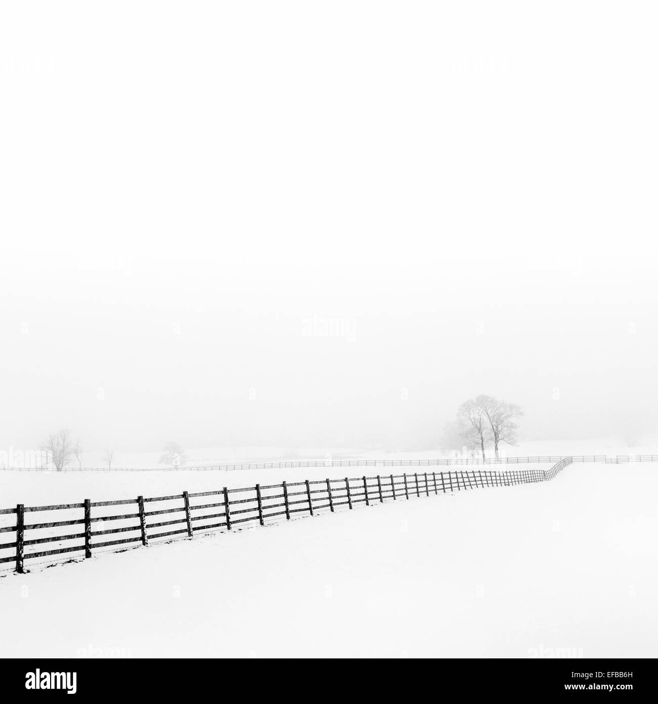 Simple snowy winter landscape in a blizzard Stock Photo - Alamy
