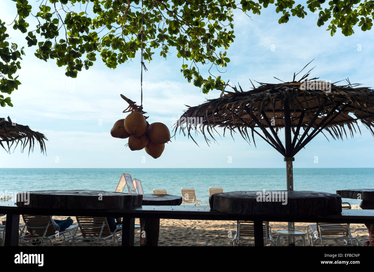 Relaxing by the beach under the shade Stock Photo - Alamy