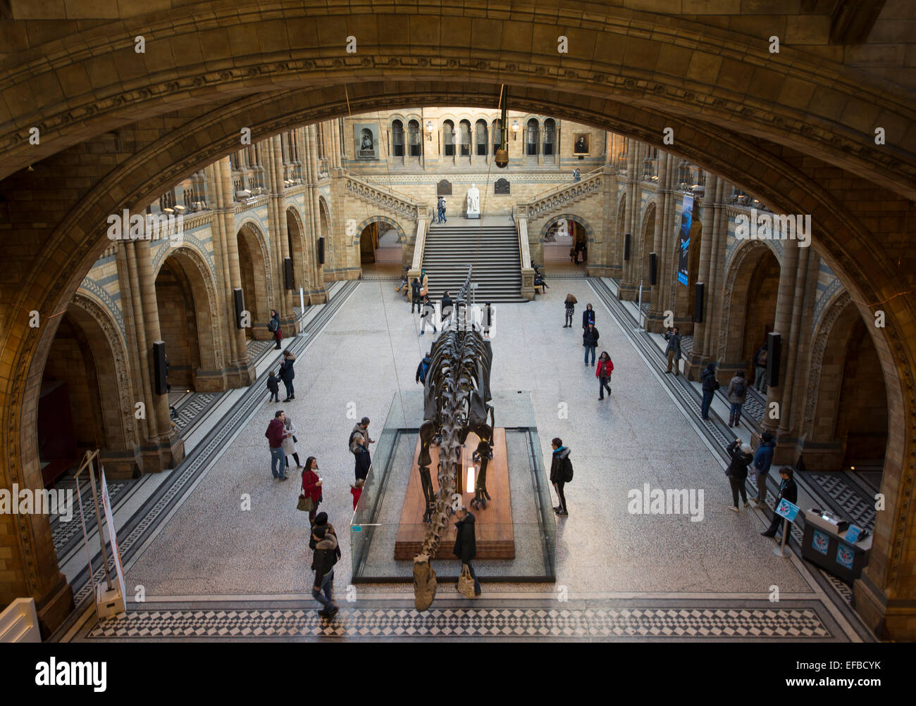 Dippy the diplodocus cast skeleton, Hintze Hall, Natural History Museum ...