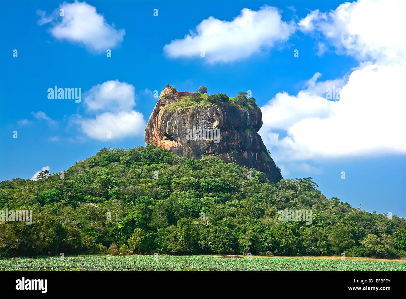 Sigiriya Rock Fortress 5th Centurys Ruined Castle That Is Unesco Listed ...