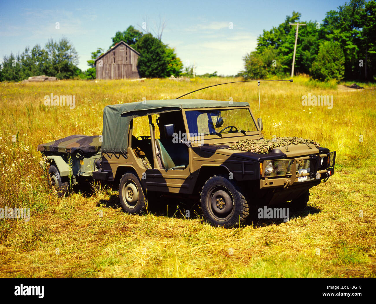 Iltis hi-res stock photography and images - Alamy