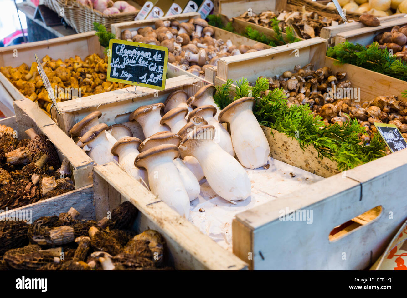 Fresh mushrooms in French market in wooden boxes, Paris France Stock ...
