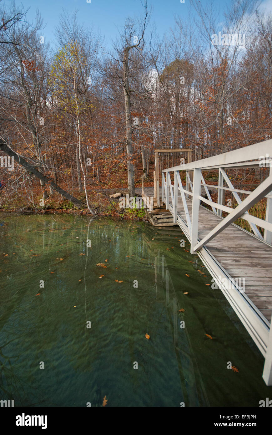 bridge with water and woods Stock Photo - Alamy