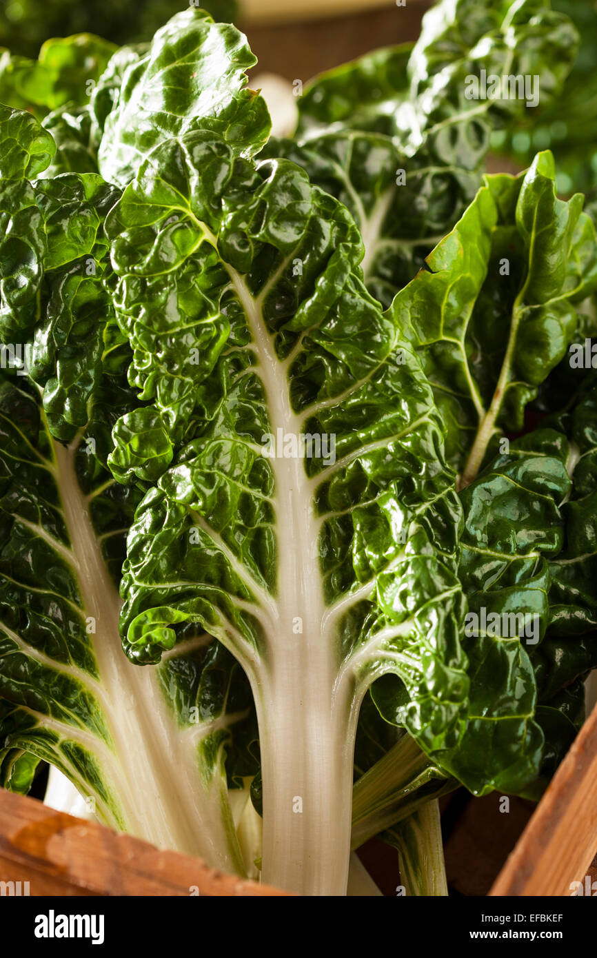 Fresh Organic Green Chard Ready to Eat Stock Photo - Alamy