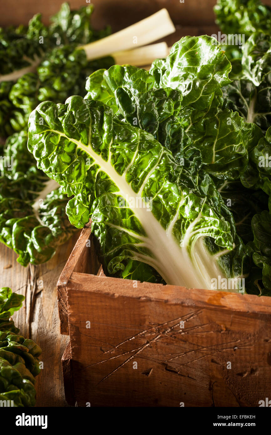 Fresh Organic Green Chard Ready to Eat Stock Photo - Alamy
