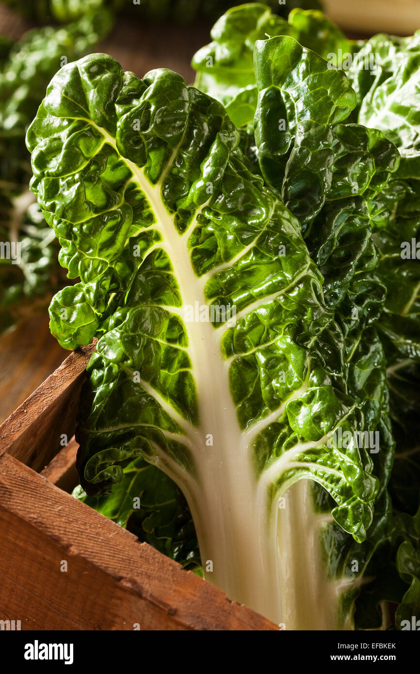 Fresh Organic Green Chard Ready to Eat Stock Photo - Alamy
