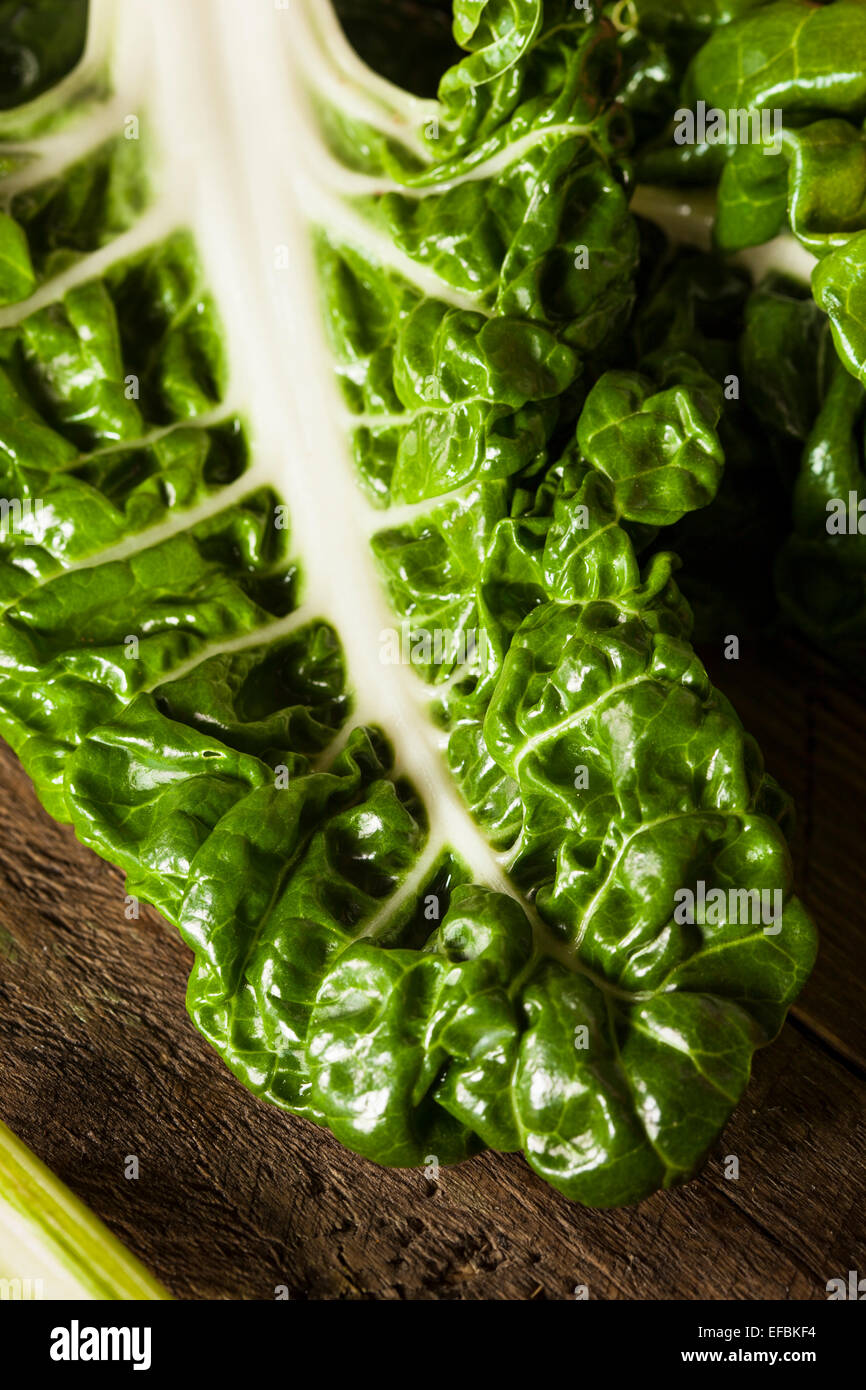 Green chard hi-res stock photography and images - Alamy