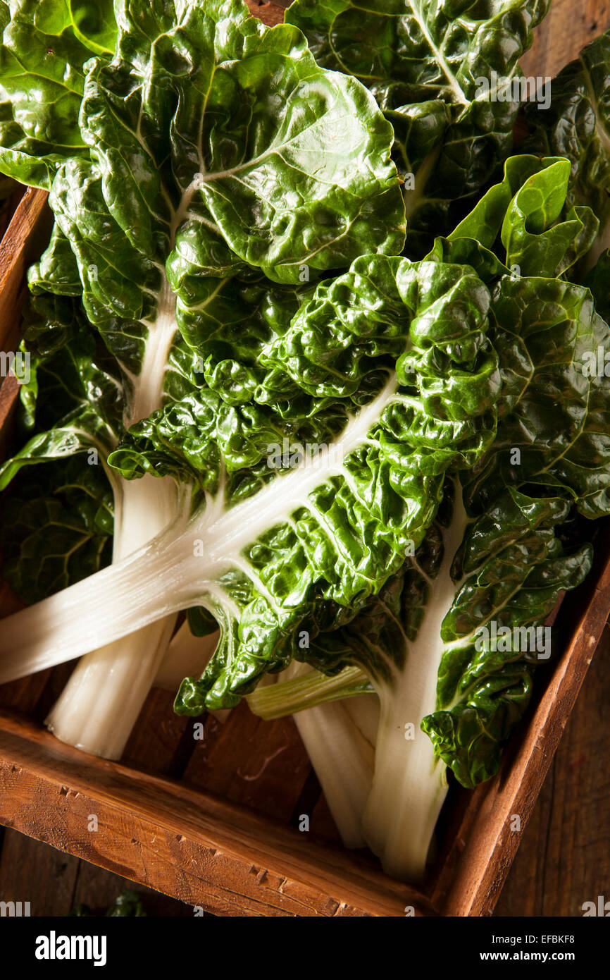 Fresh Organic Green Chard Ready to Eat Stock Photo - Alamy