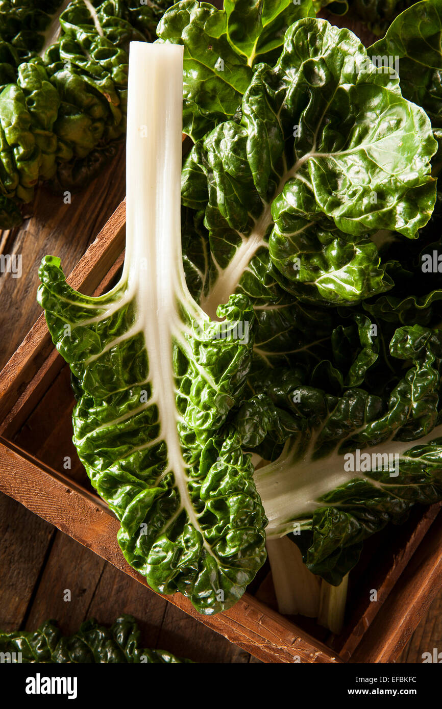 Fresh Organic Green Chard Ready to Eat Stock Photo - Alamy