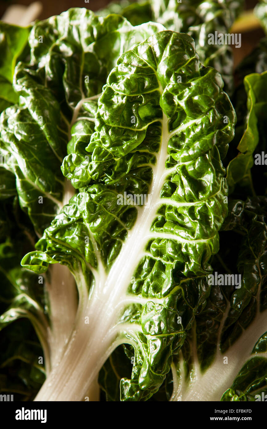 Green chard hi-res stock photography and images - Alamy