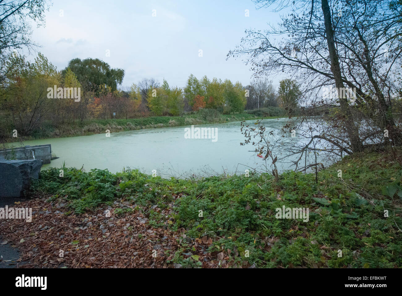 Marsh in the fall Stock Photo - Alamy