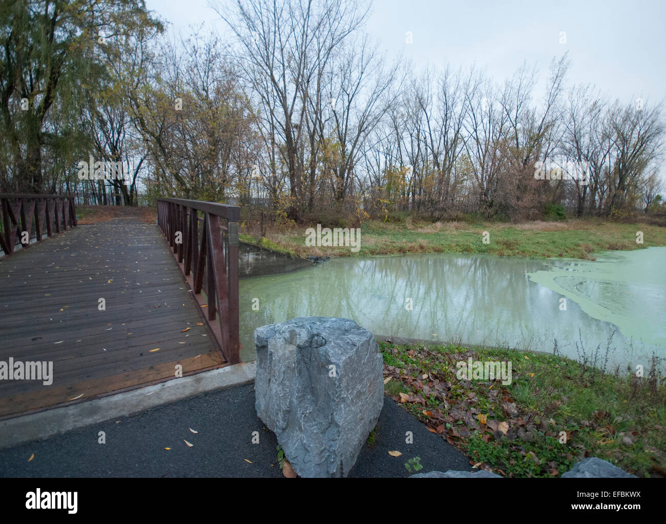 Marsh with bridge in the fall Stock Photo - Alamy