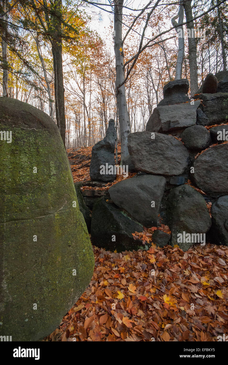 Rocks with trees in the fall Stock Photo - Alamy
