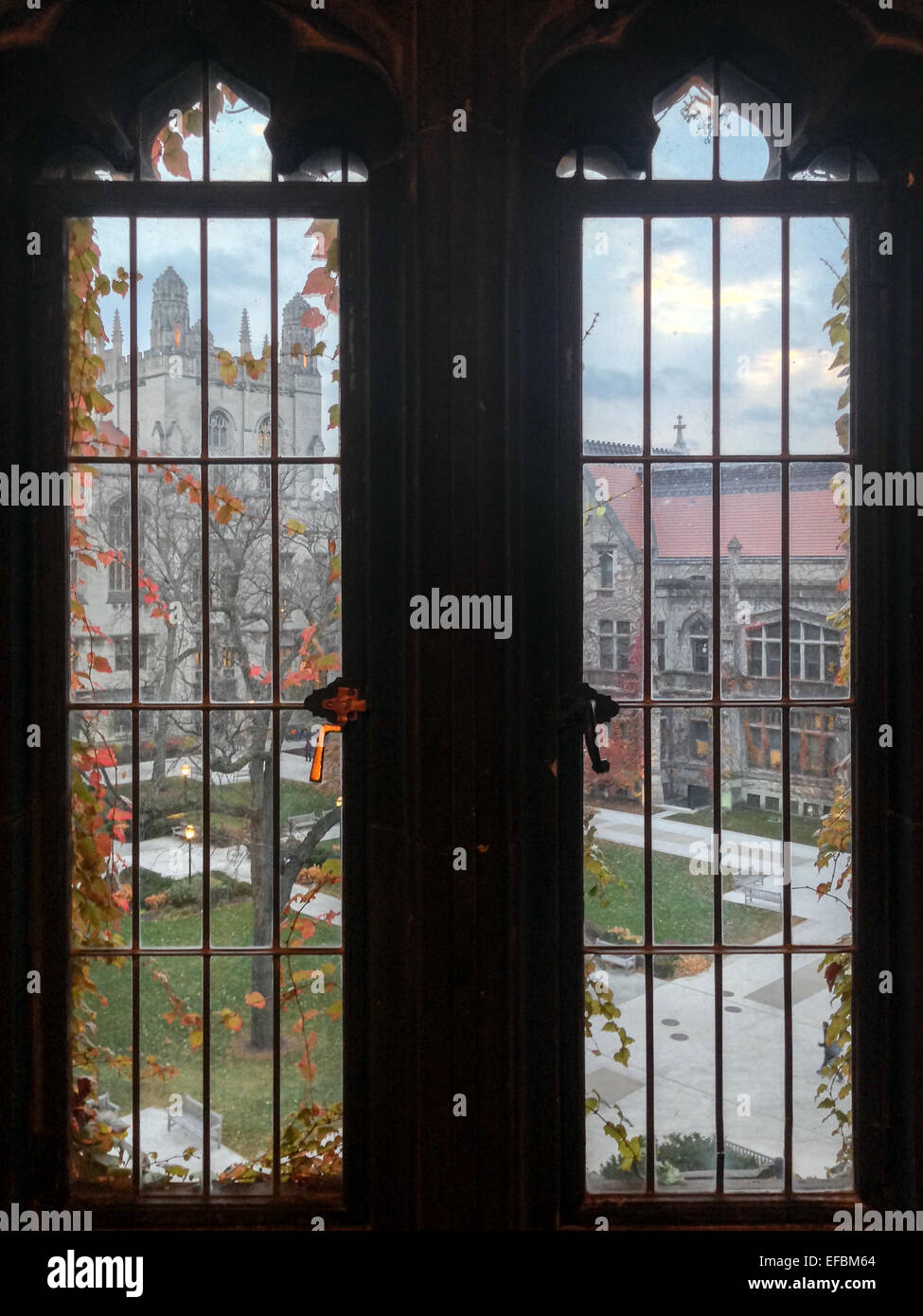 Chicago city window view hi-res stock photography and images - Alamy