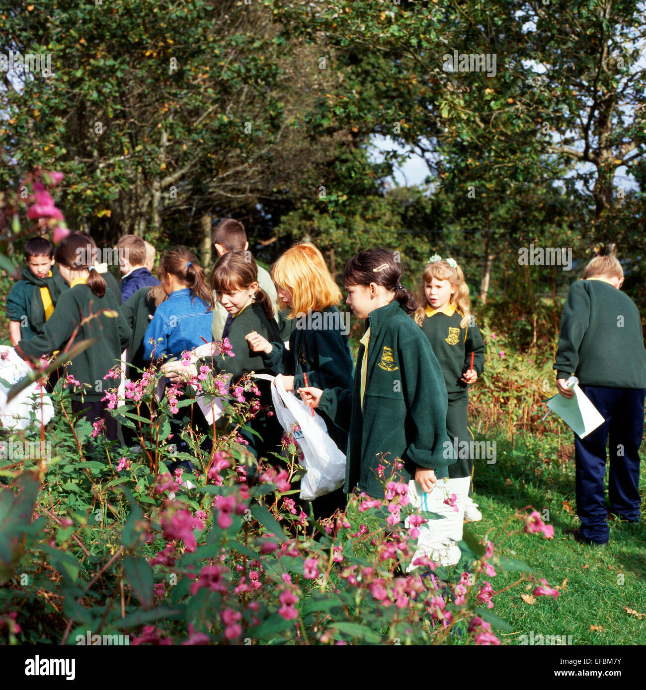 Welsh school hi-res stock photography and images - Alamy