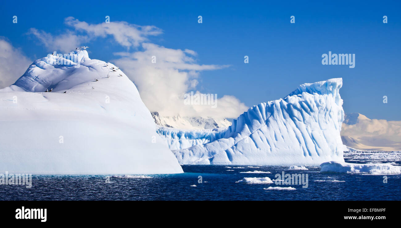 Full view of iceberg hi-res stock photography and images - Alamy
