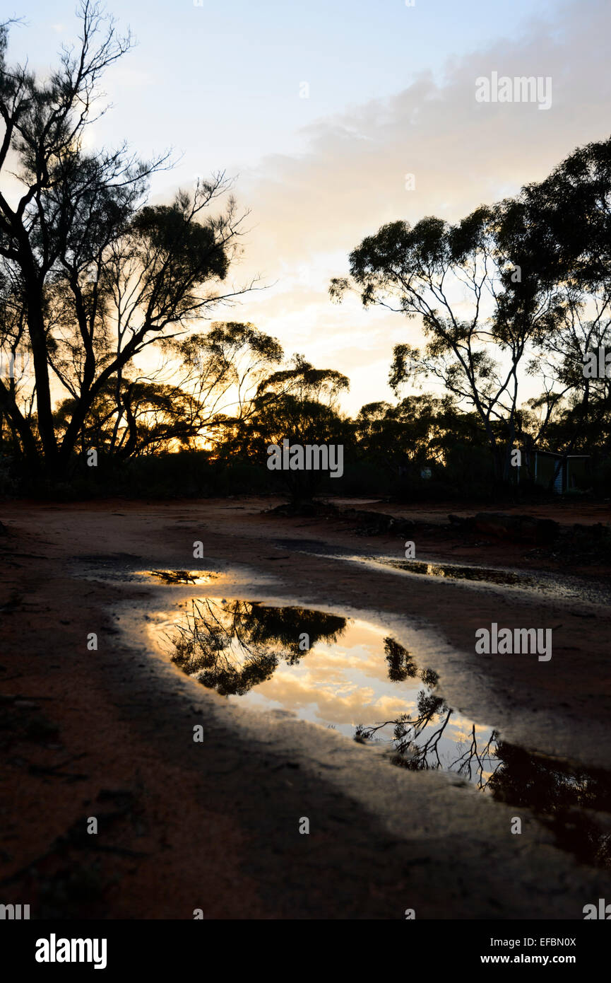 Reflections in puddle of water hi-res stock photography and images - Alamy