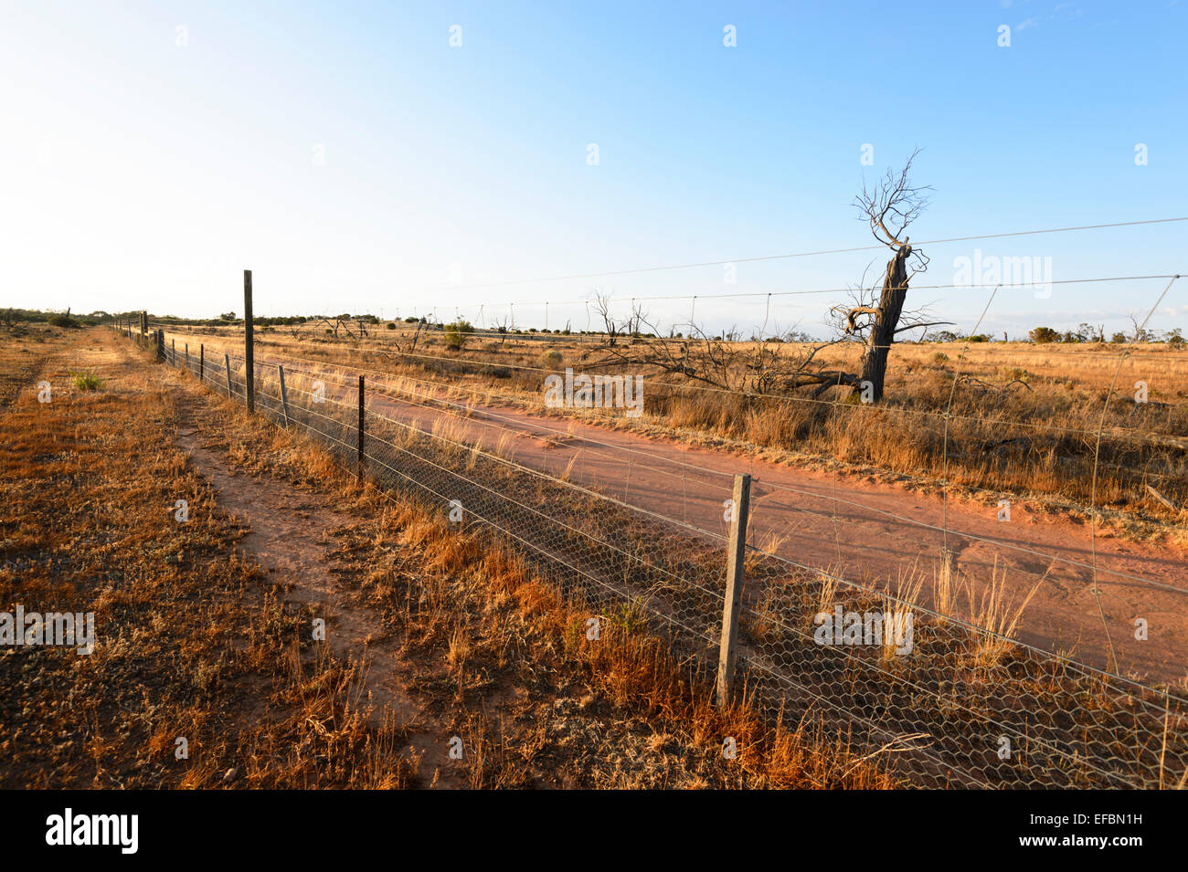 Kangaroo fence hi-res stock photography and images - Alamy