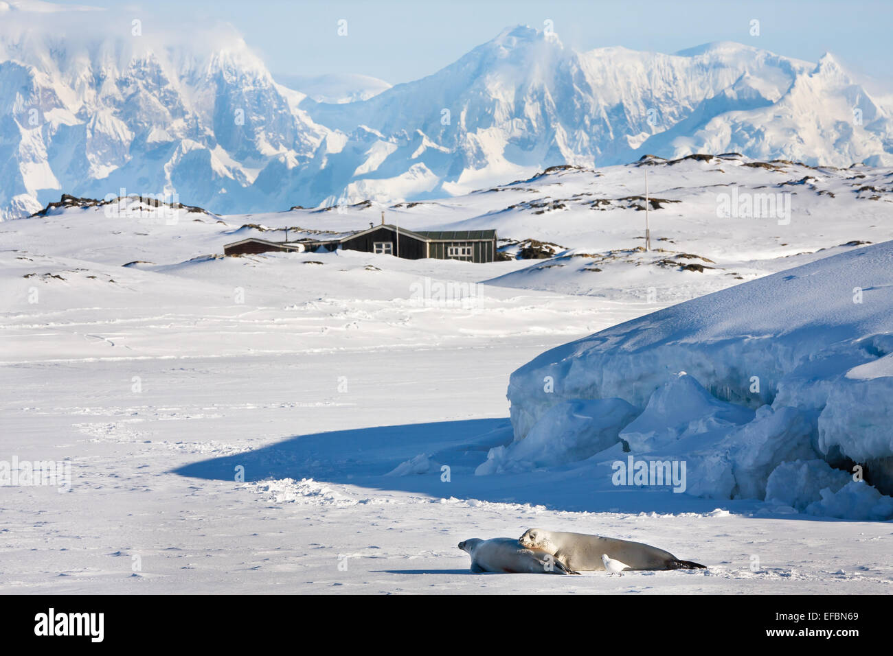Beautiful landscape in Antarctica Stock Photo - Alamy