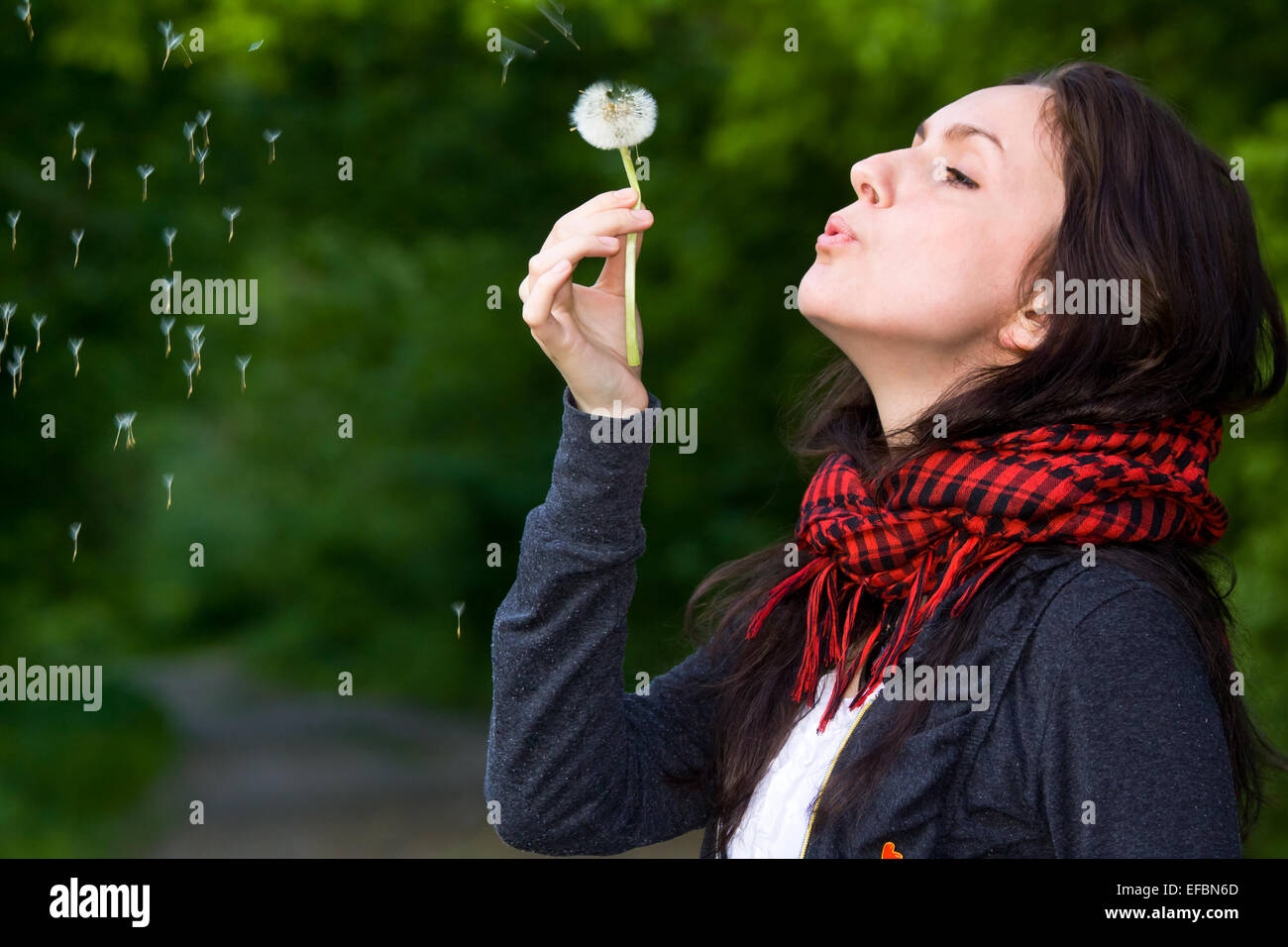 Girl blowing on dandelion Stock Photo - Alamy
