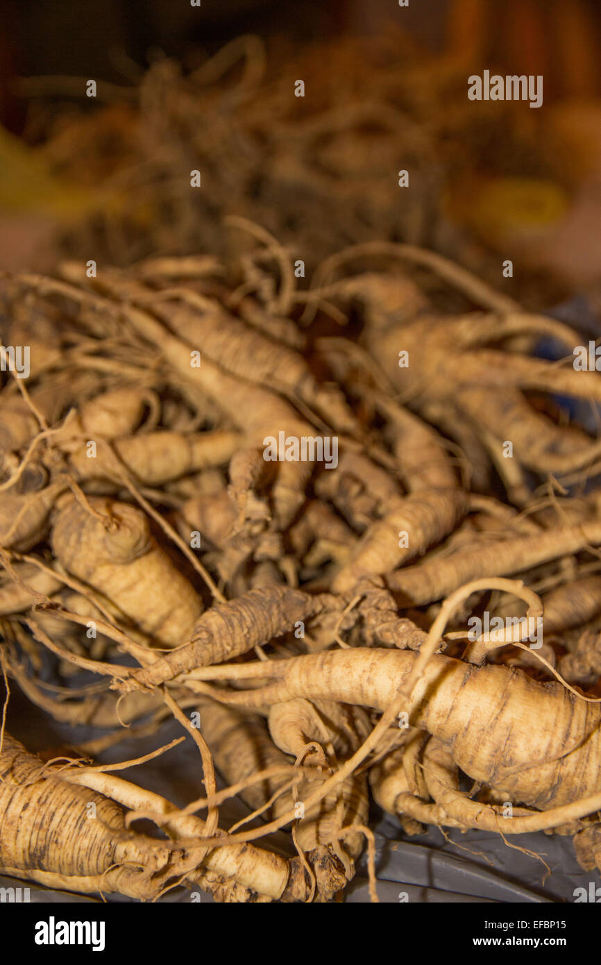 A pile of Ginseng being dried Stock Photo - Alamy
