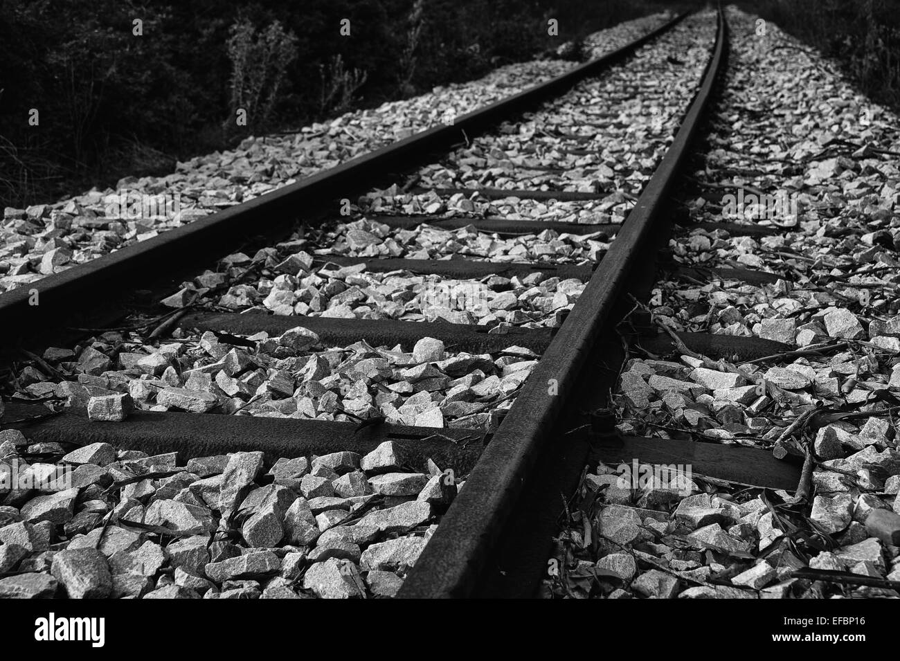 On the right track Stock Photo - Alamy